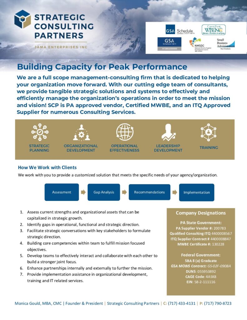 SCP One Pager State Government | Strategic Consulting Partners